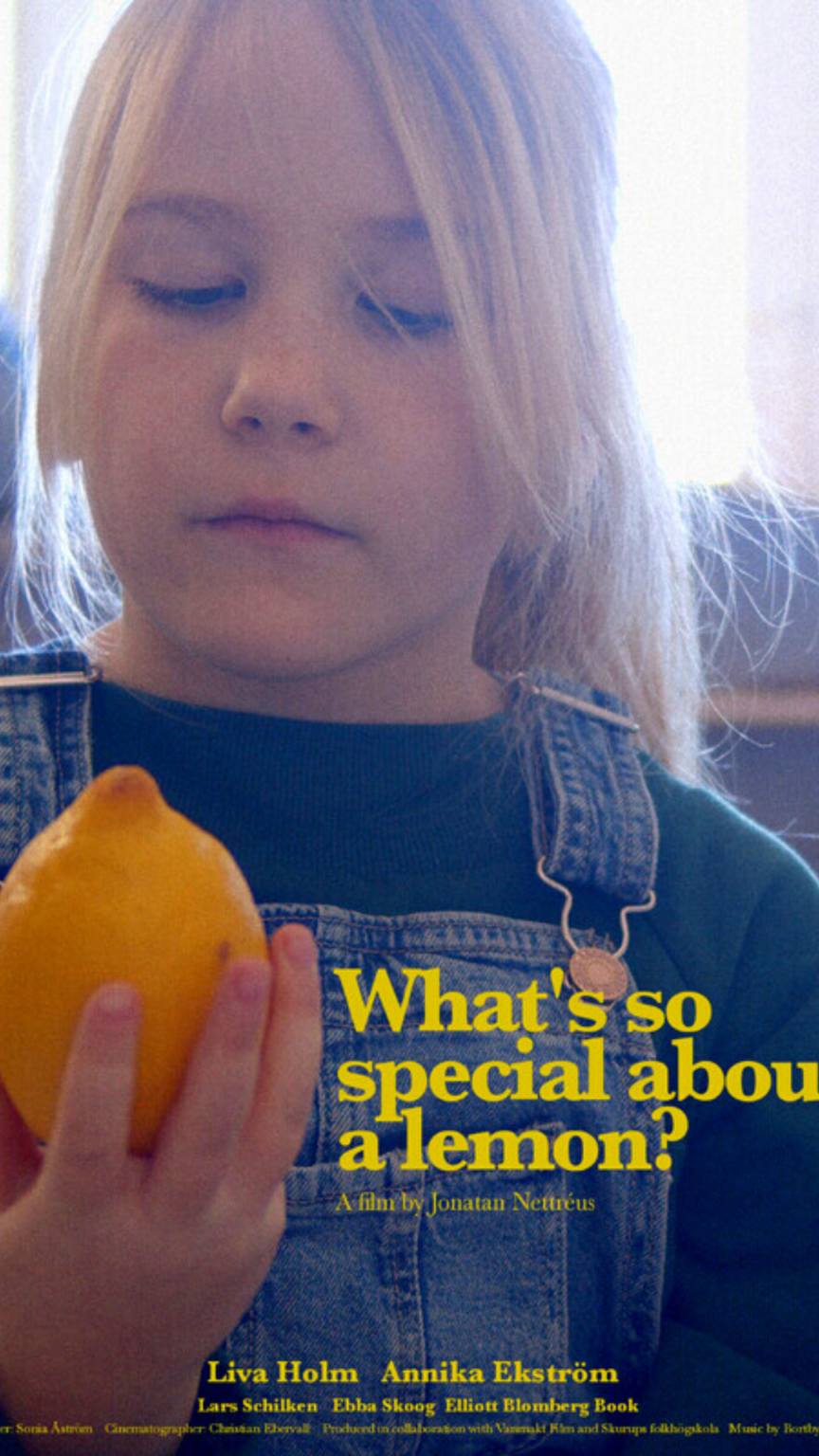 What’s So Special About a Lemon? – LULEA